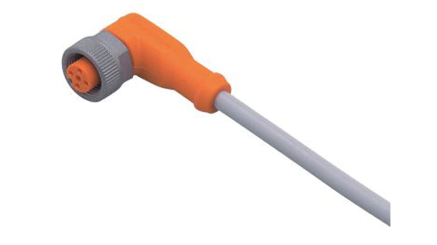 EVW004 | ifm electronic Female 4 way M12 to Unterminated Sensor Actuator Cable, 2m | RS