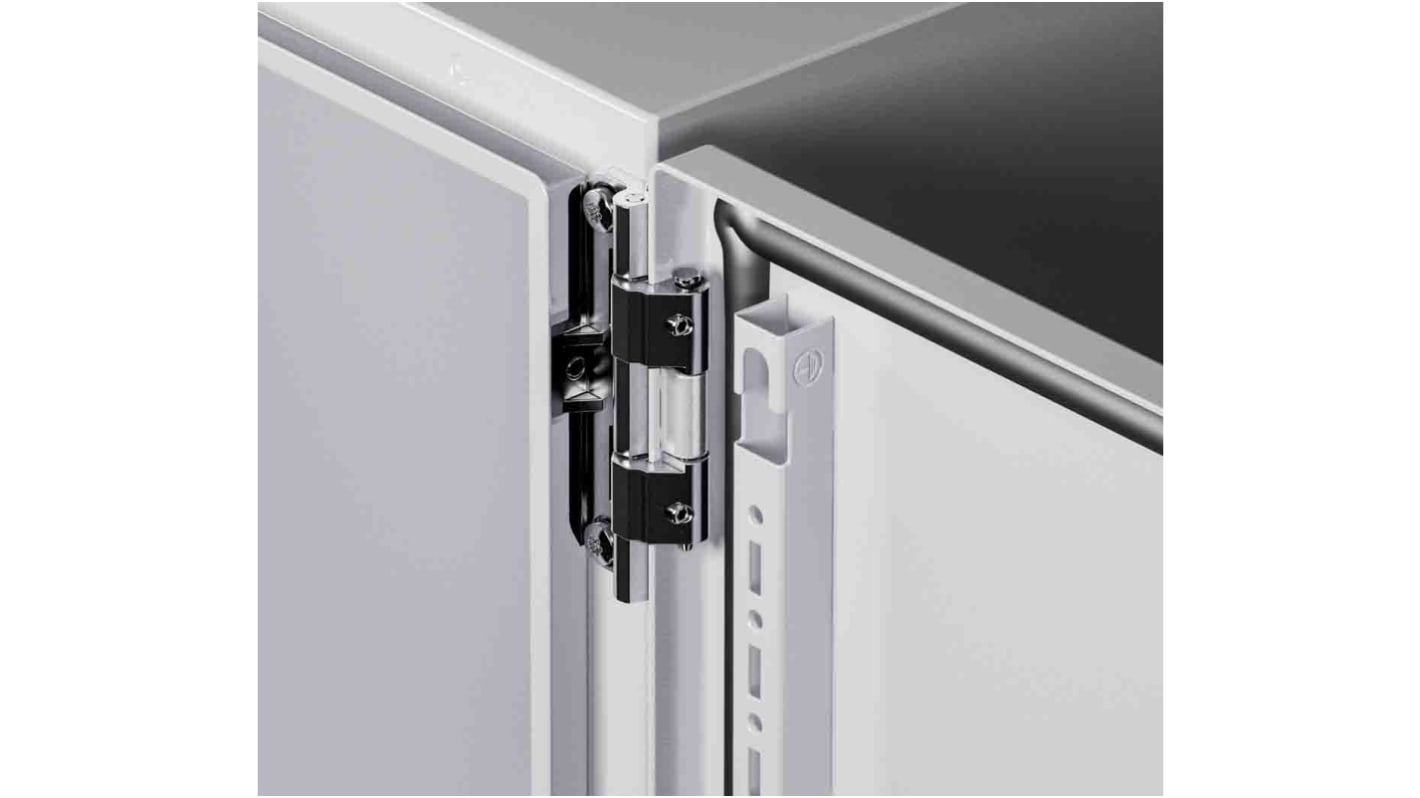2449010 | Rittal Die Cast Zinc Hinge | RS