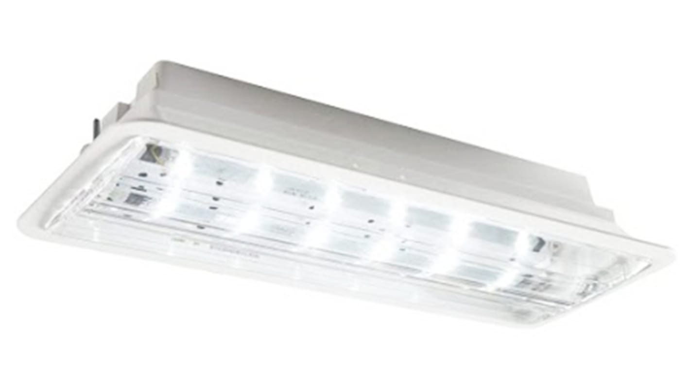 ZRS/RB3LS1 | EMERGI-LITE LED Emergency Lighting, 1 W, Maintained | RS