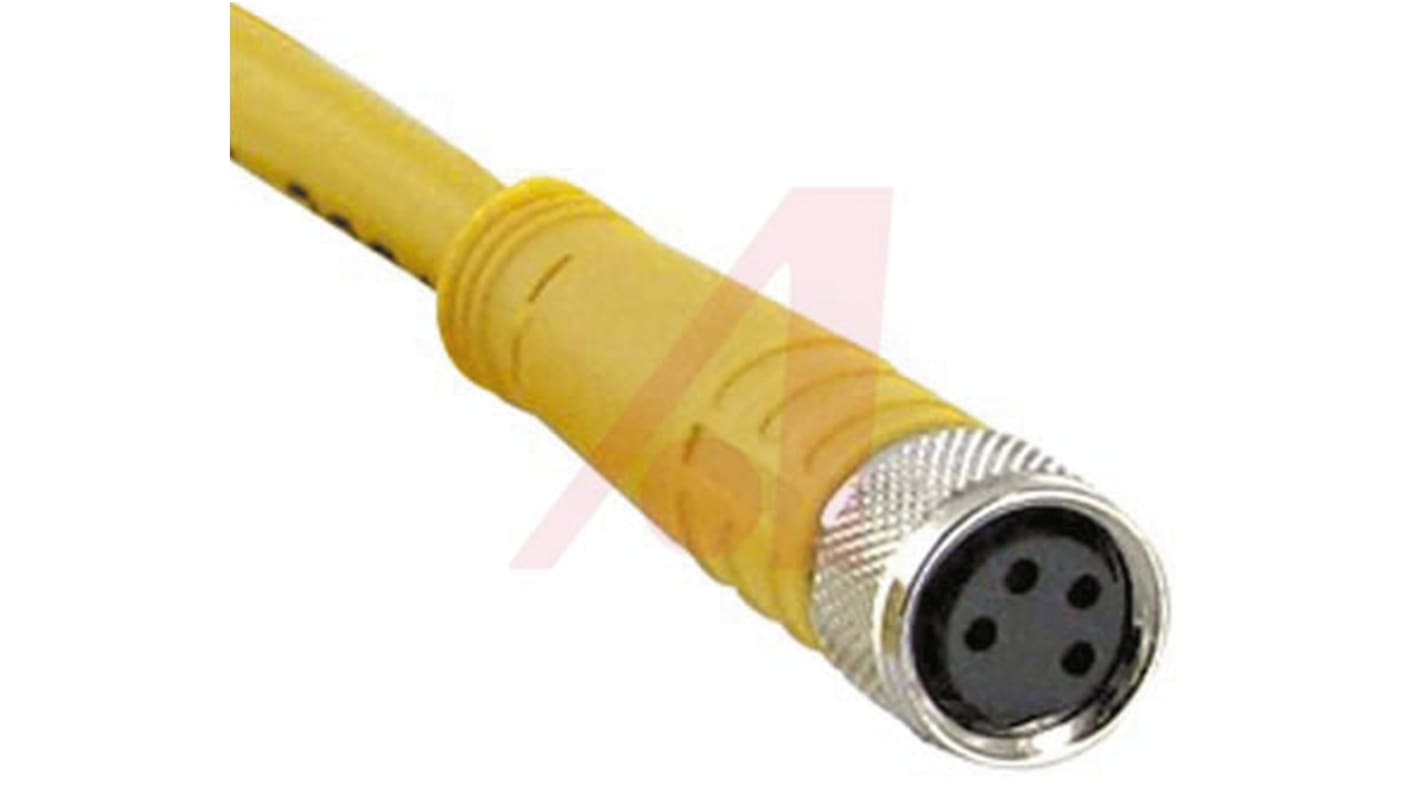 PKG 4M-10 | Turck Female M8 to , 10m | RS