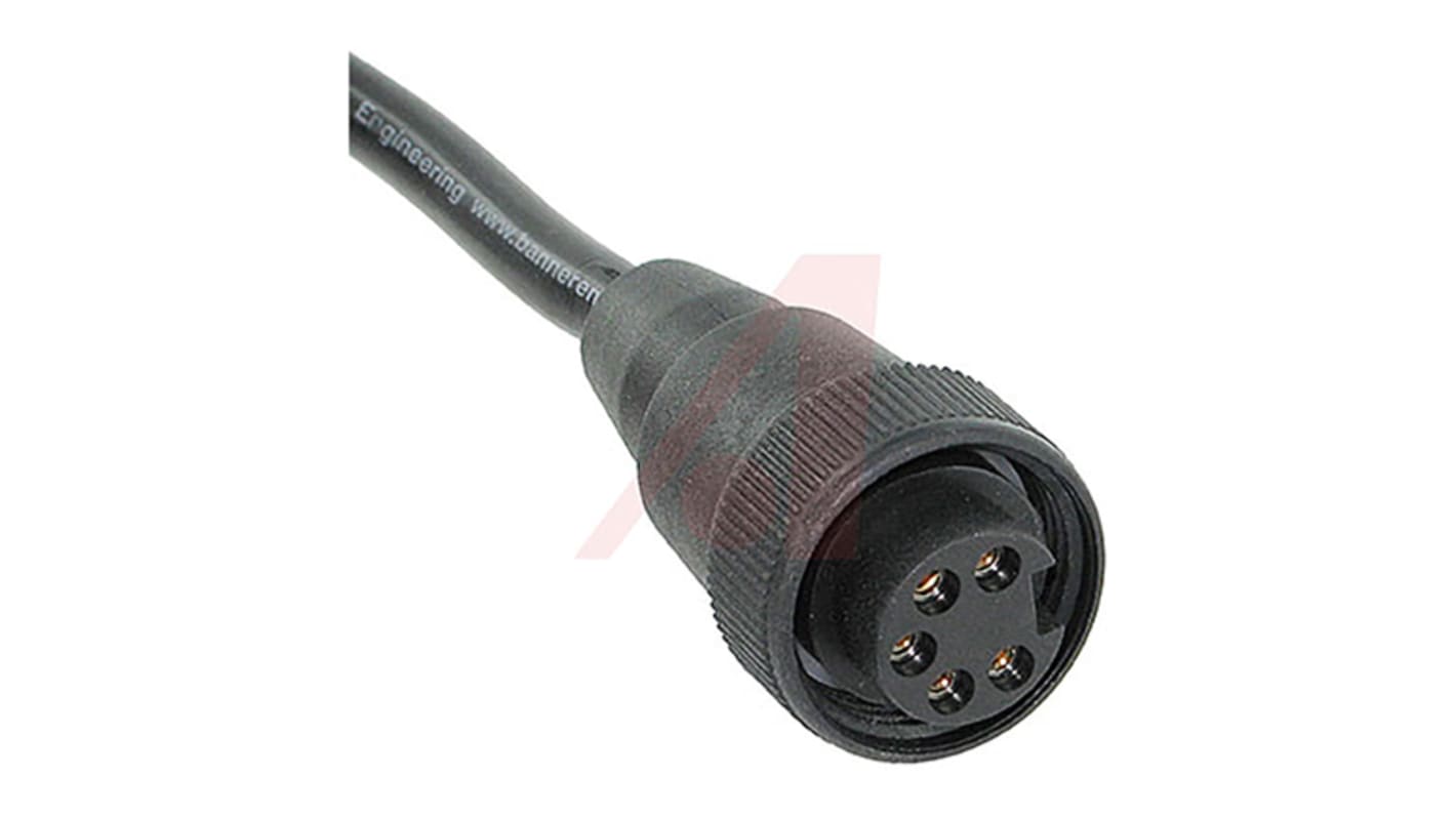 MBCC-512 | Banner Straight Female 5 way 7/8 in Circular to Unterminated ...