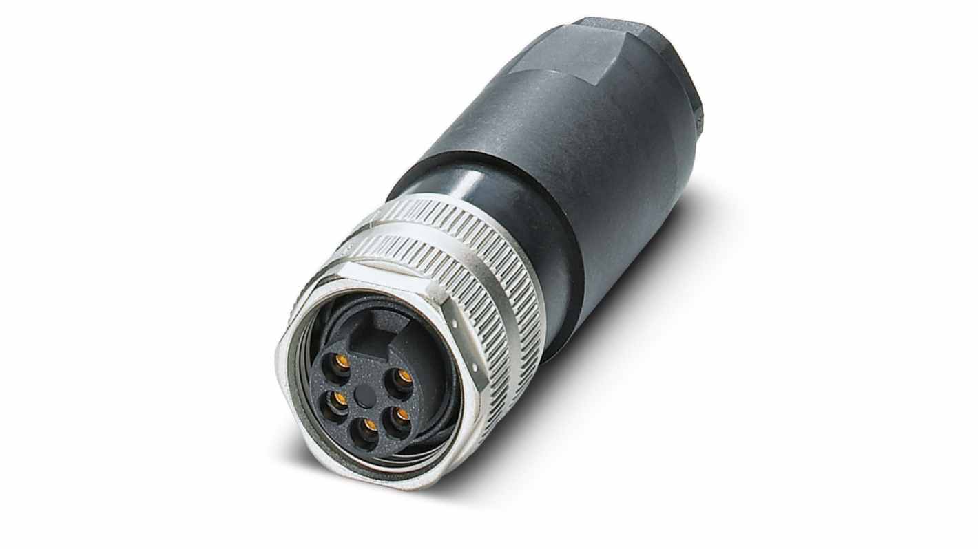 1456268 | Phoenix Contact Socket | RS