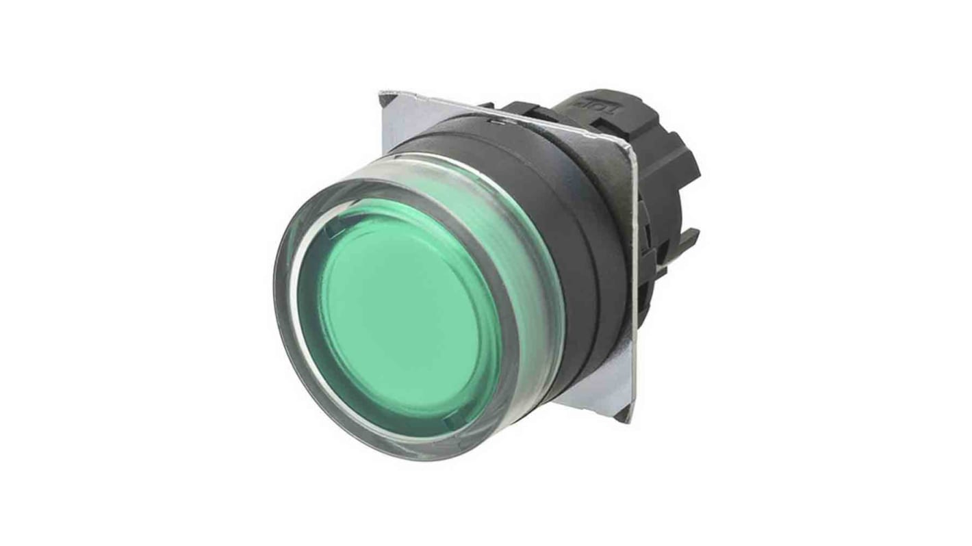 A22NZ-BGM-TGA | Omron Push Button Switch, Momentary, IP66 | RS