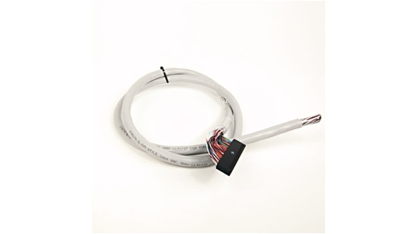 1492-CAB050P62 | Rockwell Automation PLC Cable for Use with 1762-Iq32T ...