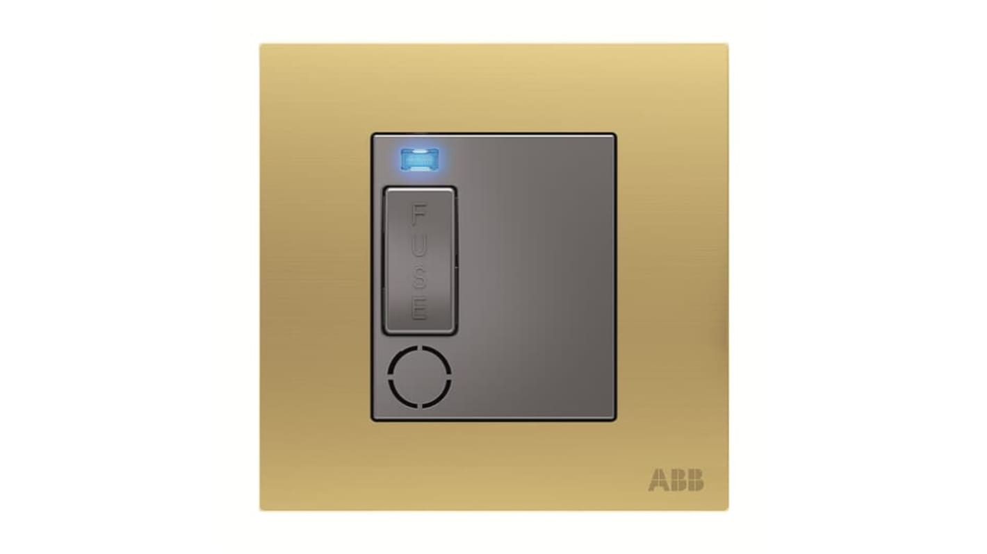 2CLA630859N1701 | ABB 13A, Fused Connection Unit IP20 | RS