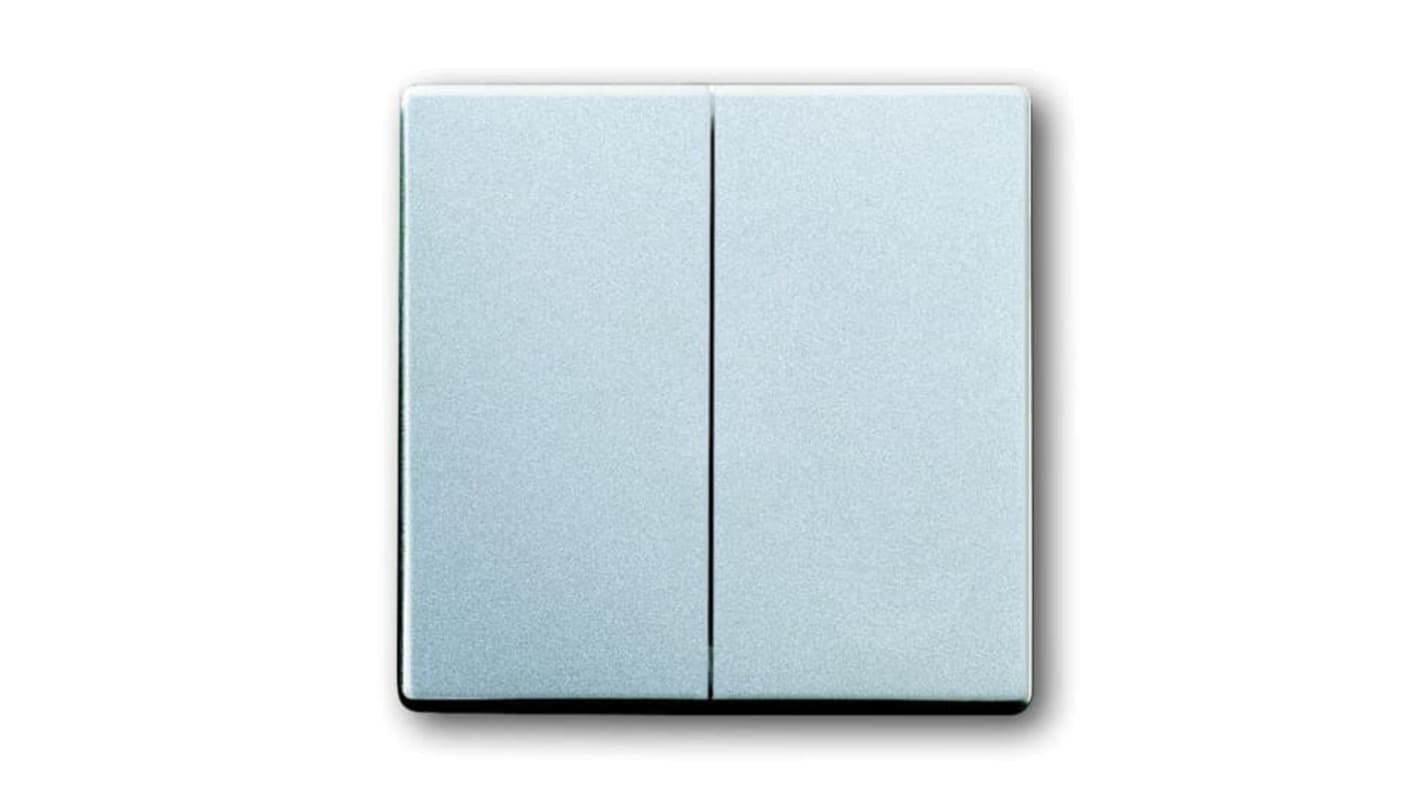 2CKA001751A2942 | ABB Grey 2 Gang Light Switch Cover | RS