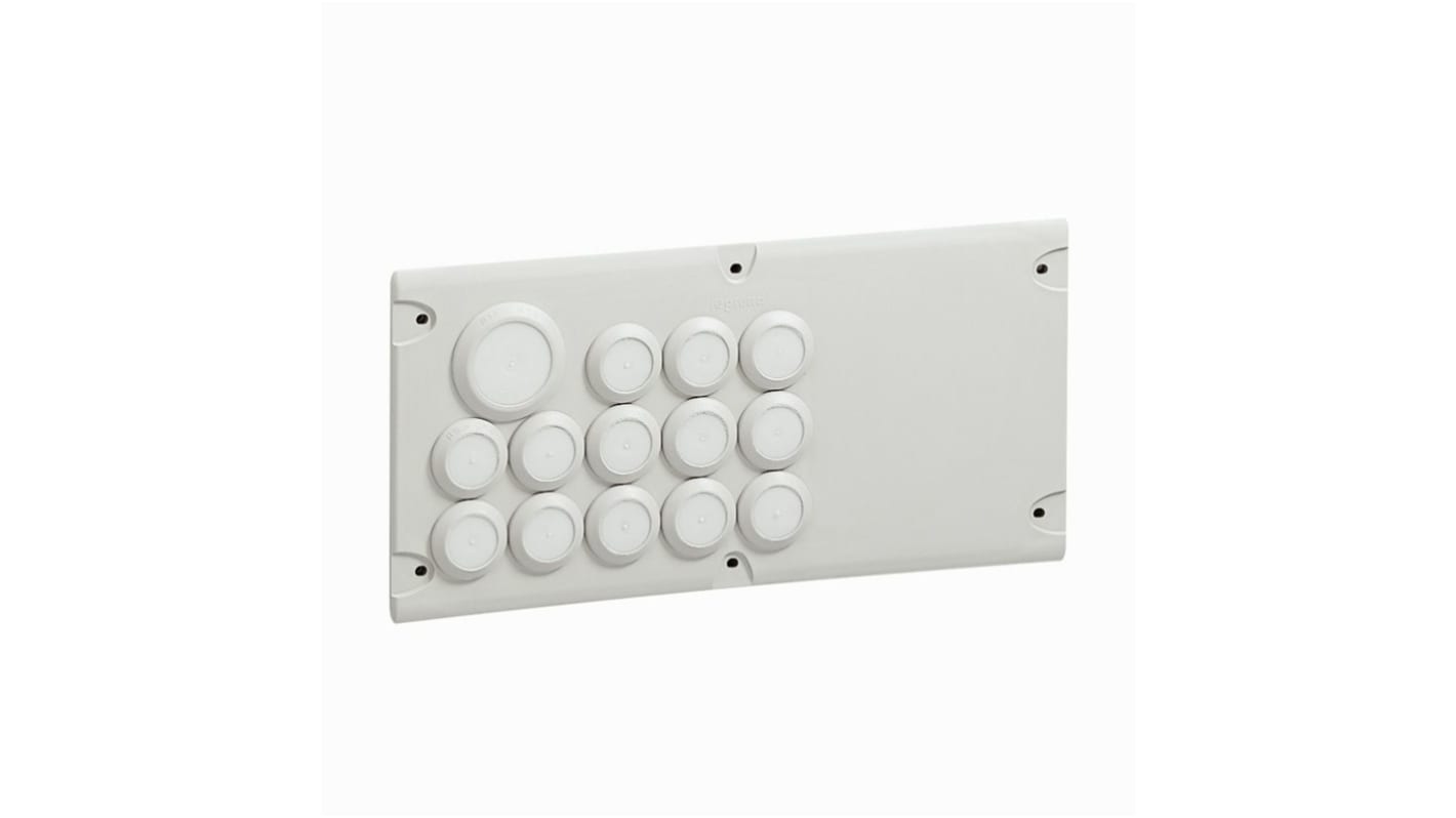 036494 | Legrand Plate | RS