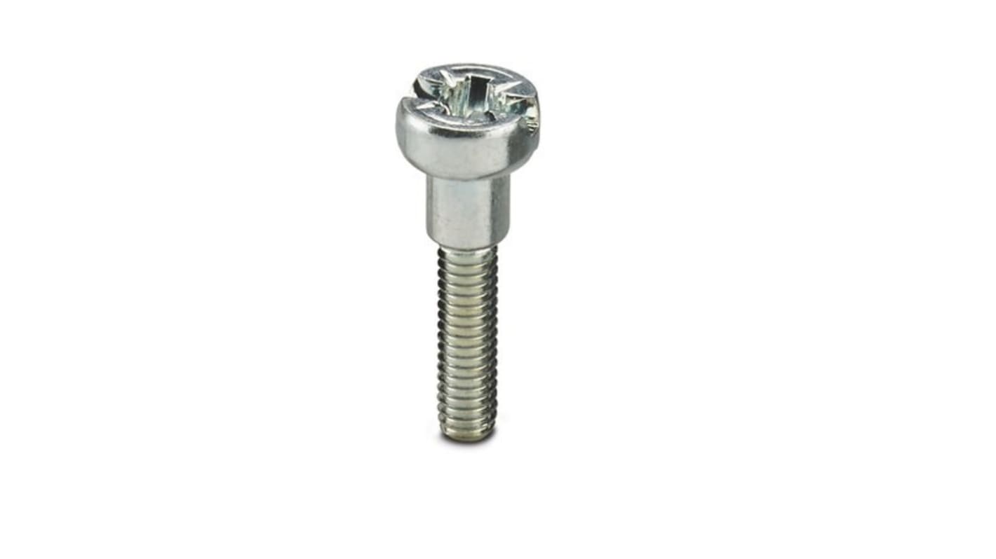 1607829 | Phoenix Contact Screw | RS