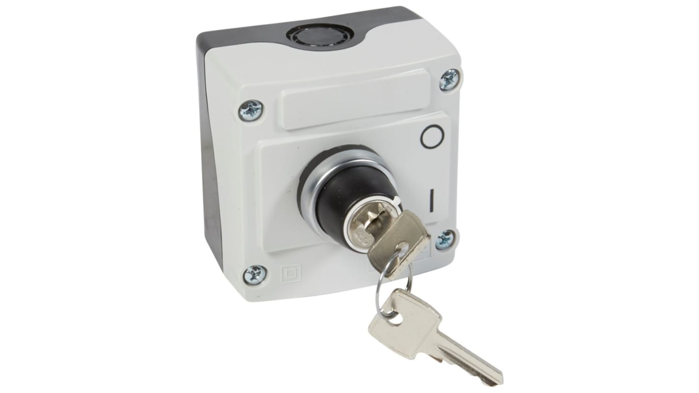 0 242 17 | Legrand Grey Key Operated Socket Switch, 2 Poles | RS