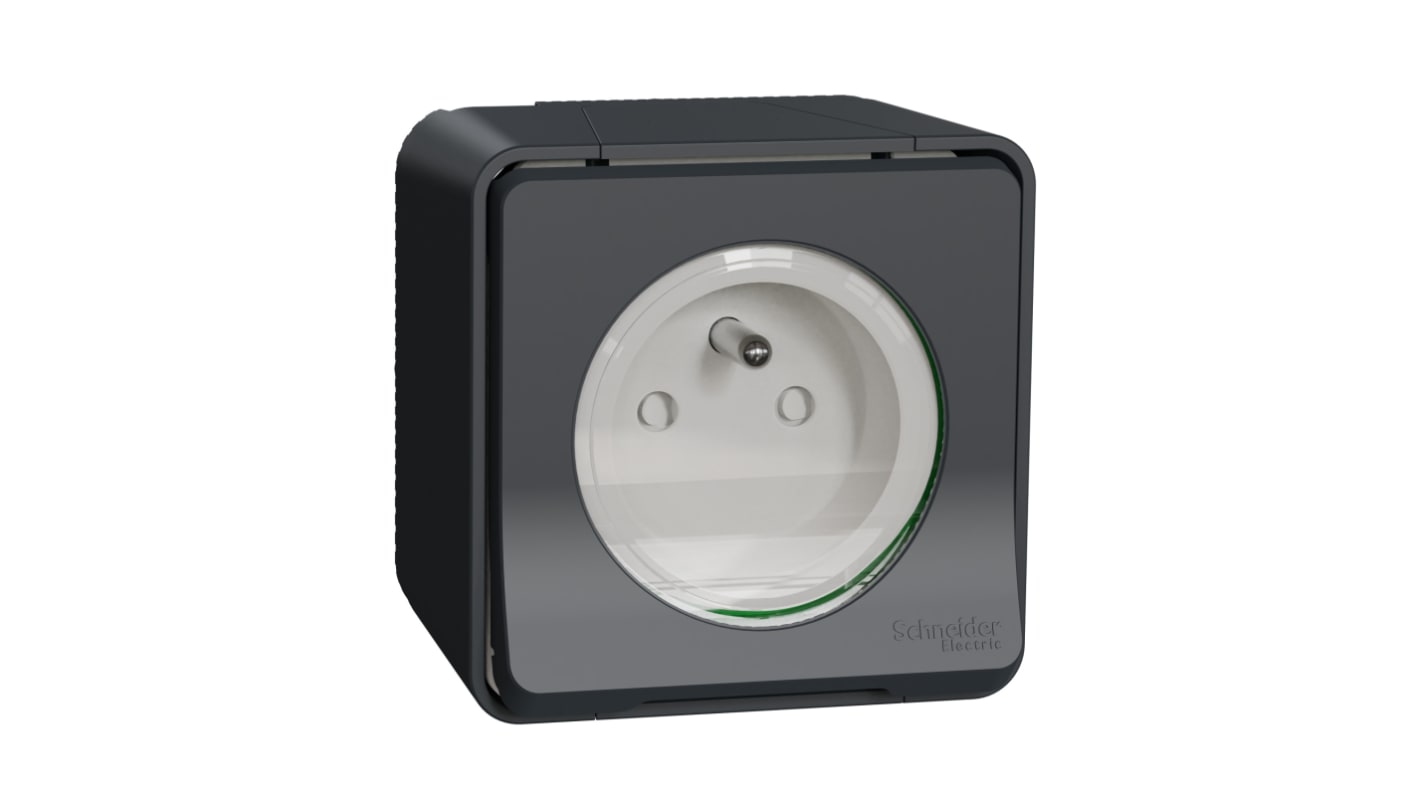 MUR36030 | Schneider Electric Grey 1 Gang Plug Socket, 2 Poles, 16A ...
