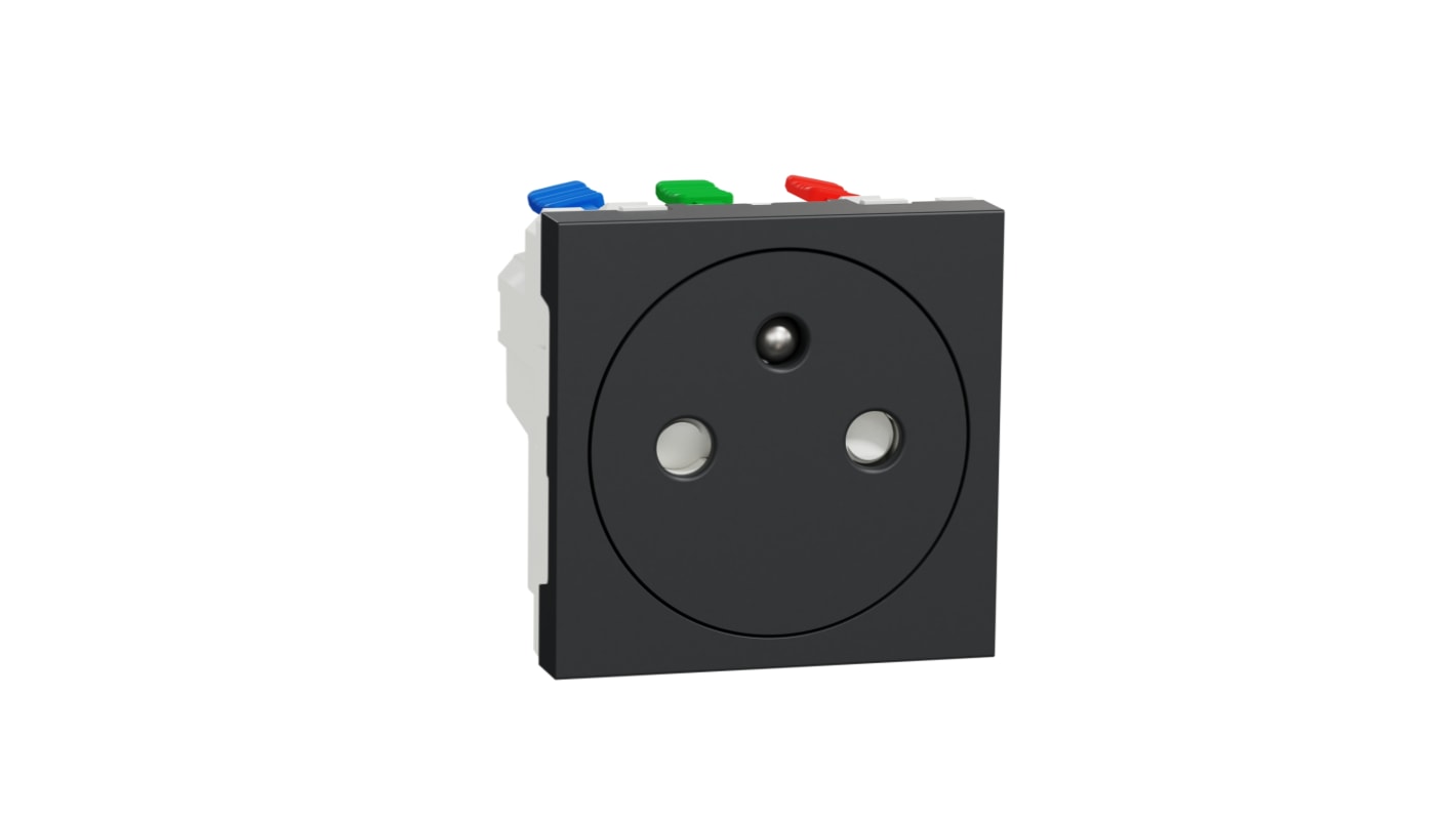 NU305254 | Schneider Electric Anthracite 1 Gang Plug Socket, 2 Poles ...
