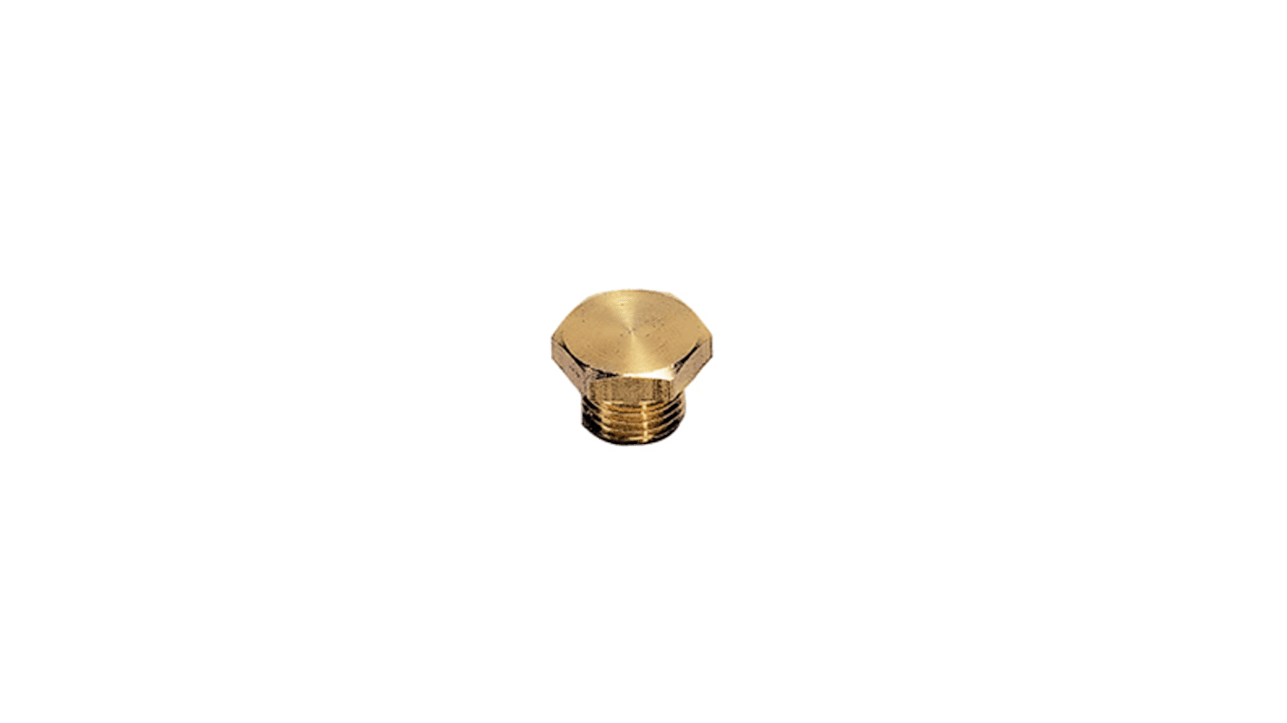 0200 10 00 | Legris G 1/8 Brass Tubing Plug | RS
