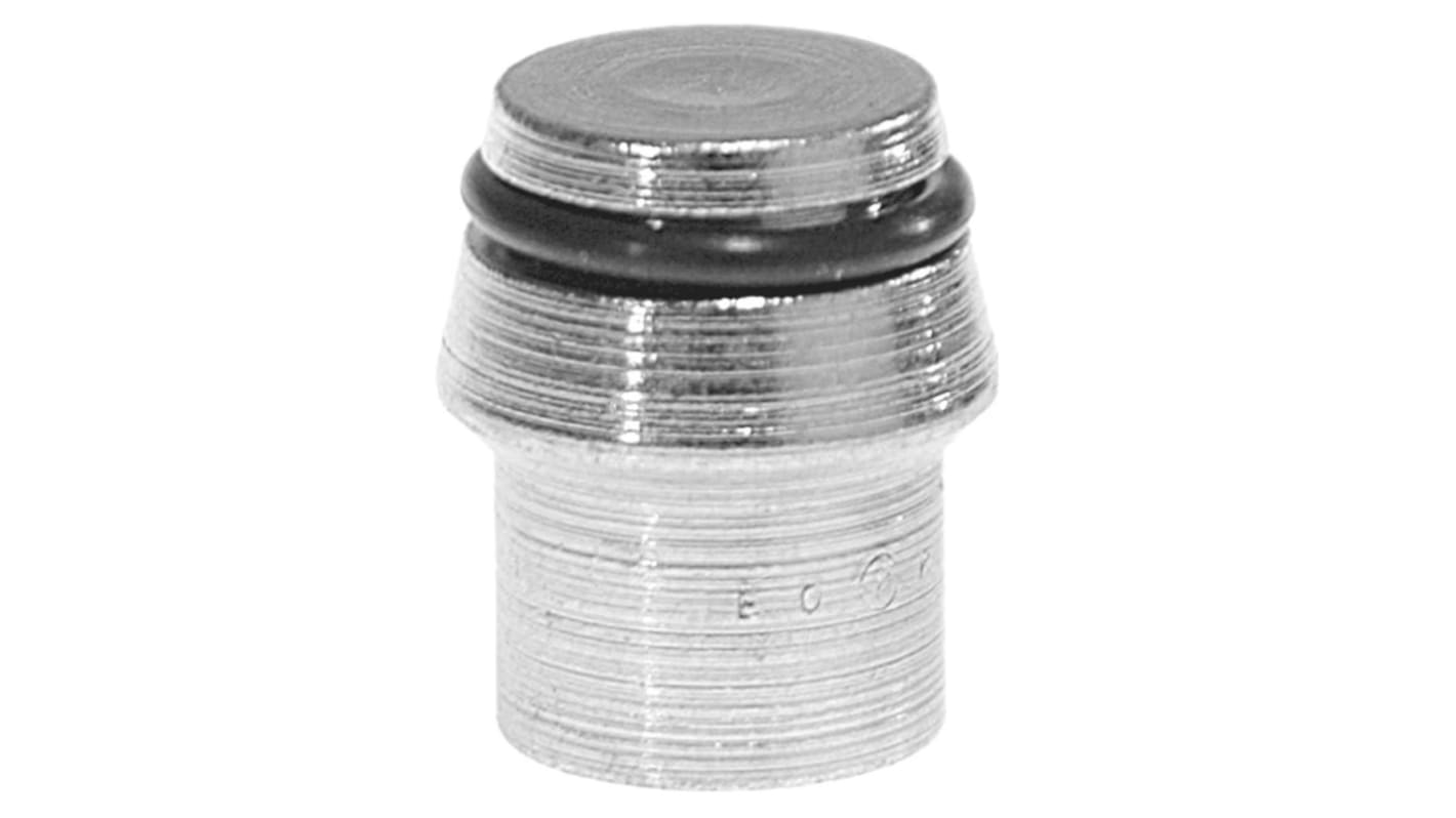 VKAM12SCF | Parker Blanking Plug 12mm | RS