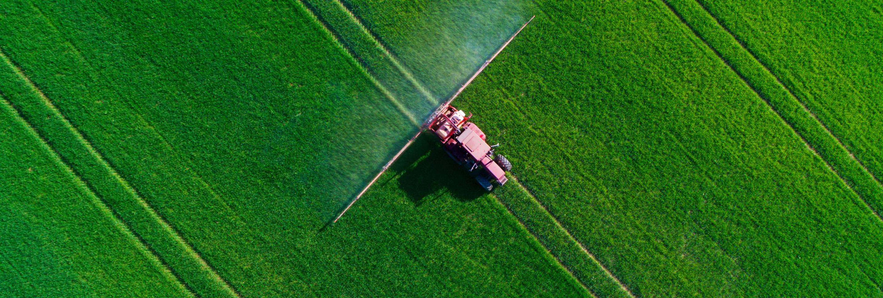 Regional Economic Development and Community Investment Program | RSM ...