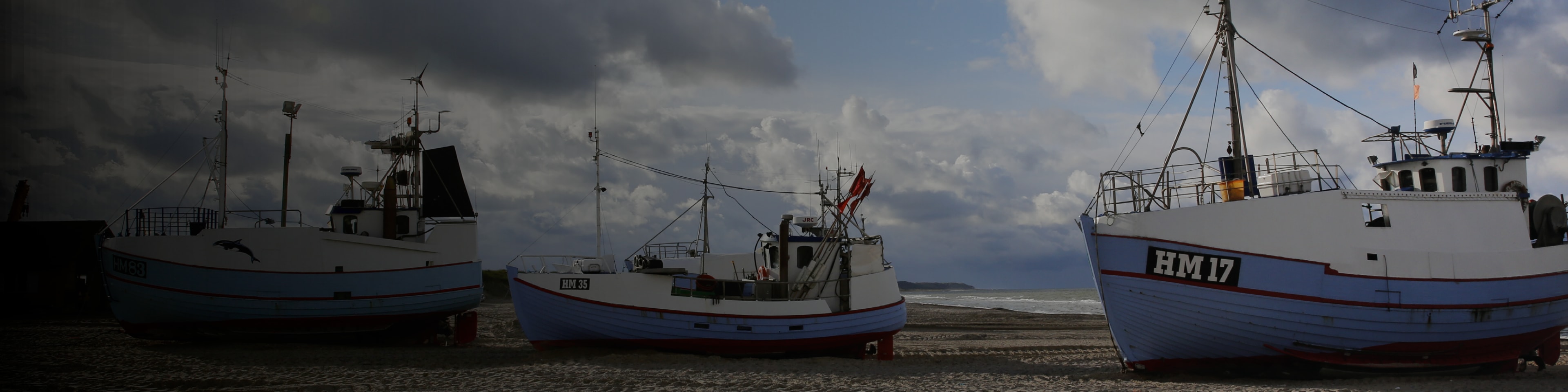 Fjerritslev | RSM Denmark