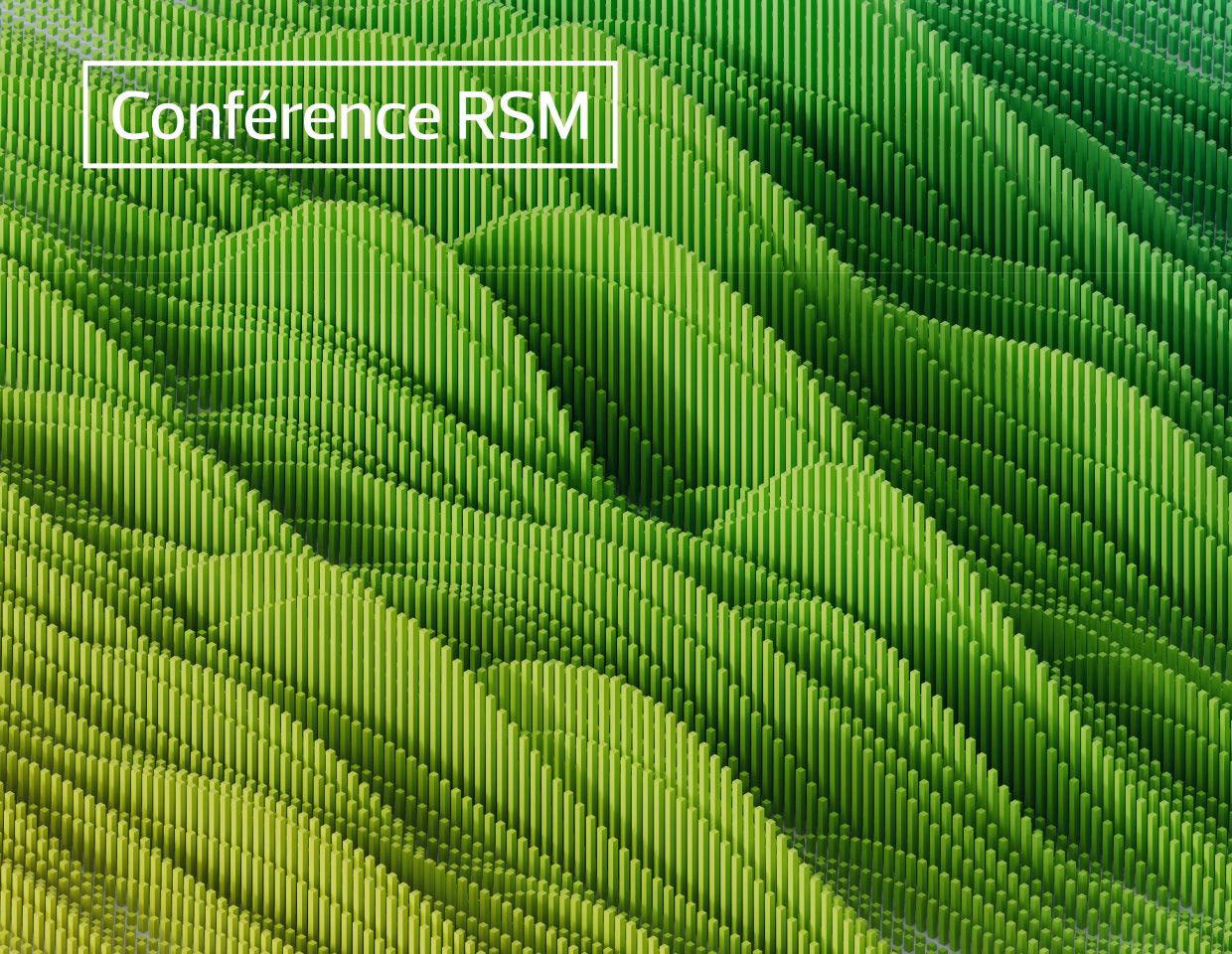 CSRD & rapport de durabilité : vers un choc de simplification ? | RSM ...