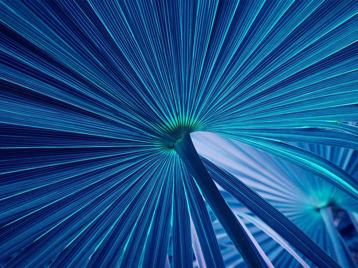 Understanding RCT on mixed contracts: what the latest Revenue guidance ...