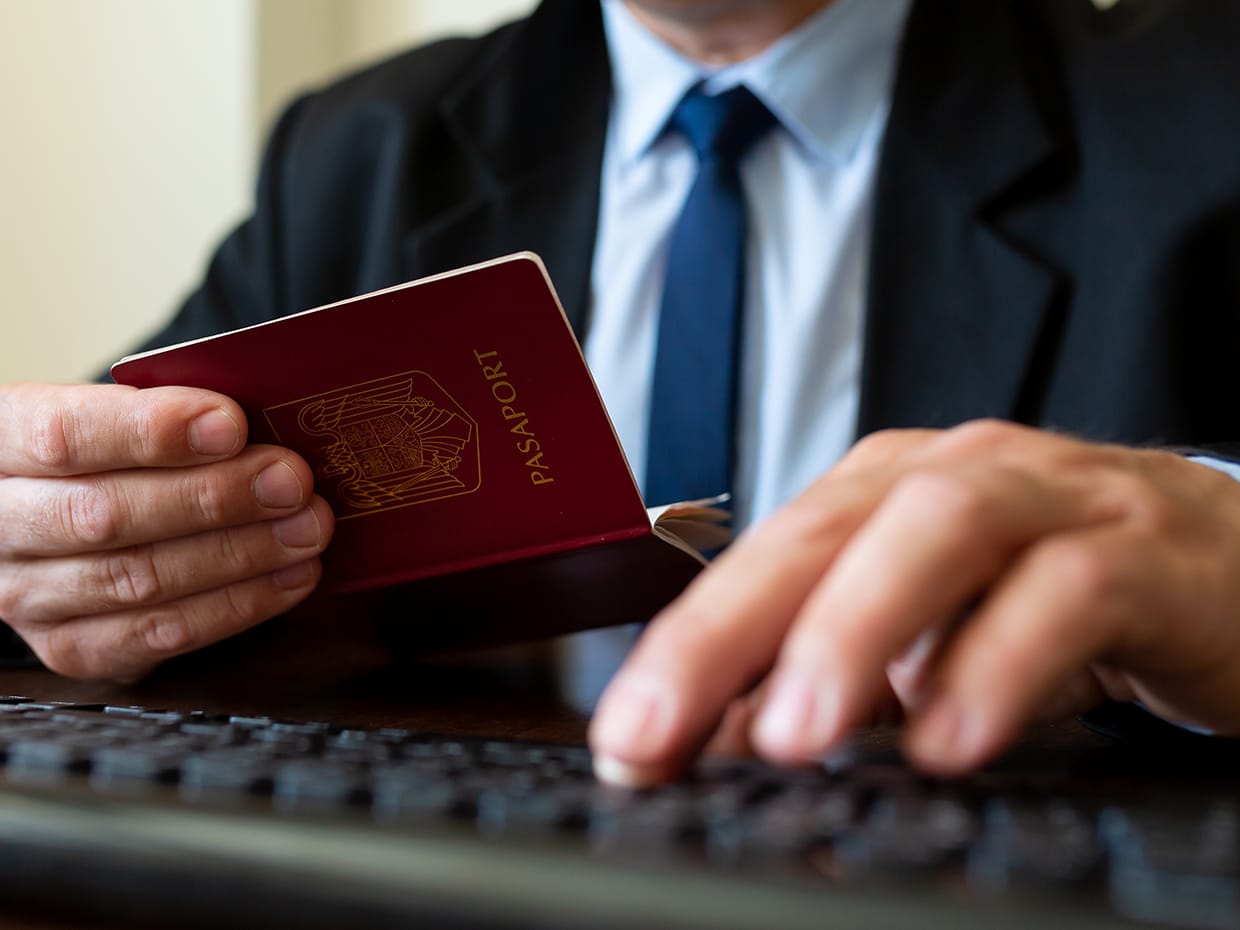 About the Electronic Notification System of the Immigration Services ...