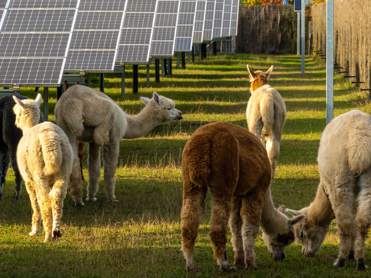 2024 ESG Landscape Latin America. Desafíos en materia de Sostenibilidad ... 2024 ESG Landscape Latin America. Desafíos en materia de Sostenibilidad ...