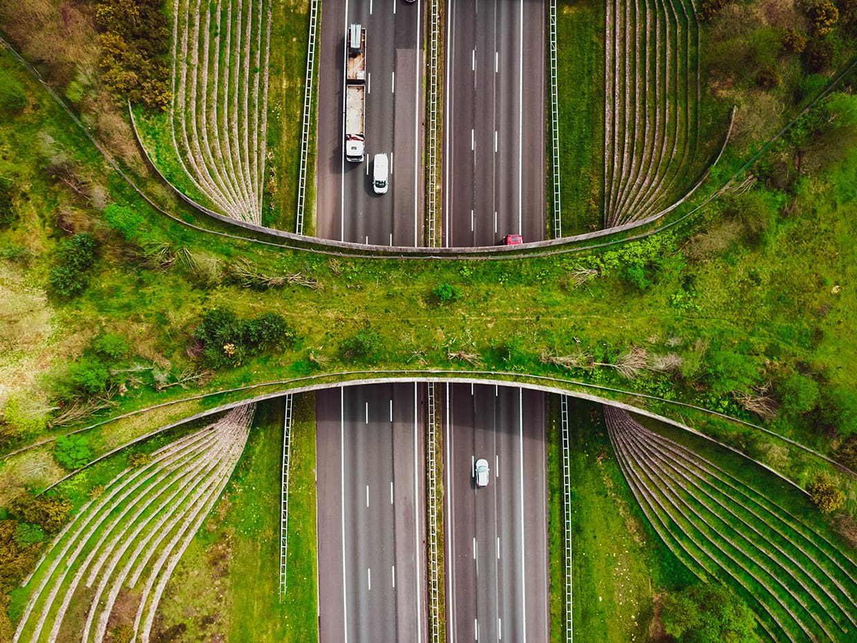 The value chain: CSRD’s crucial component | RSM Global