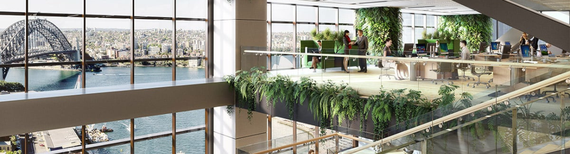 Coworking Sydney | Rubberdesk