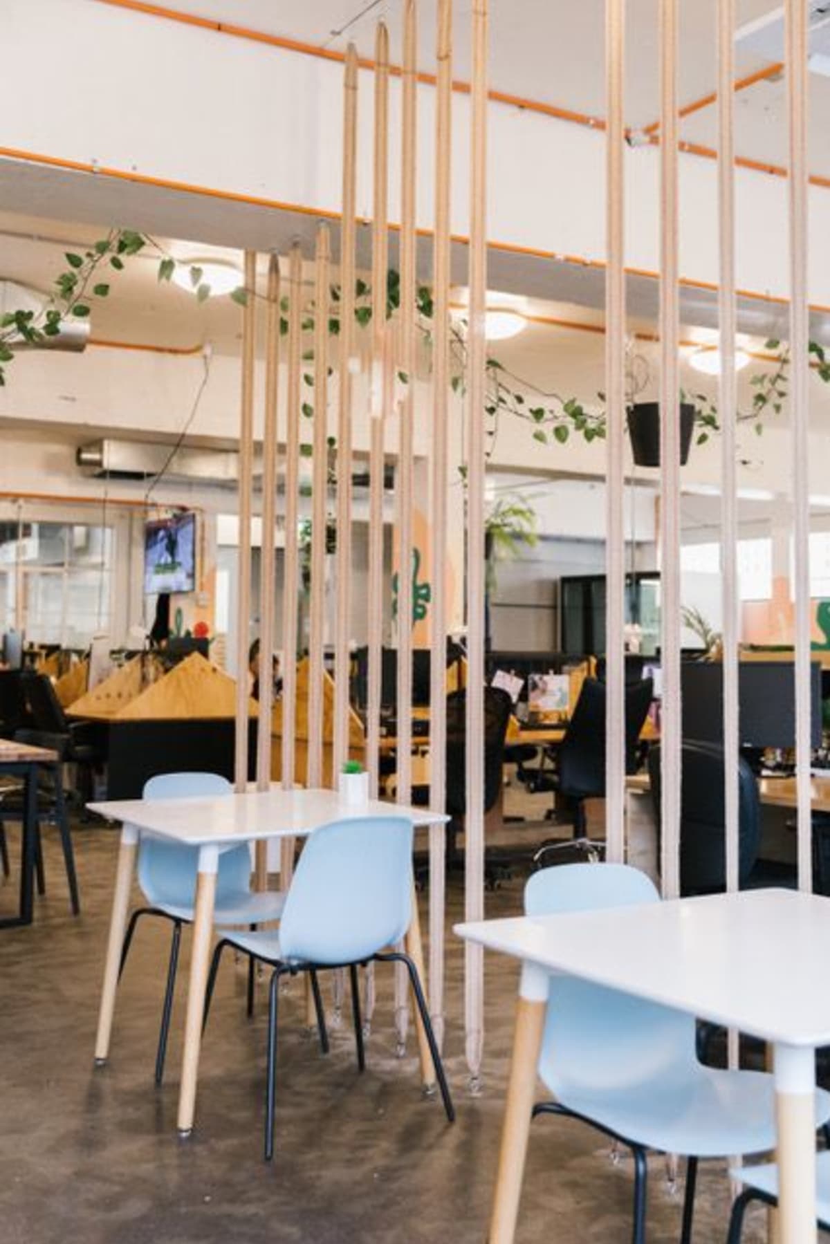 Coworking Desk for 1 - $300/desk /month - Adelaide (Ref:c7cb5bfa59f4a ...