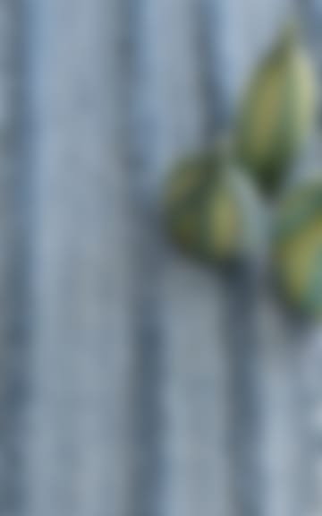 Dash And Albert Zhara Stripe Denim | Rug Studio