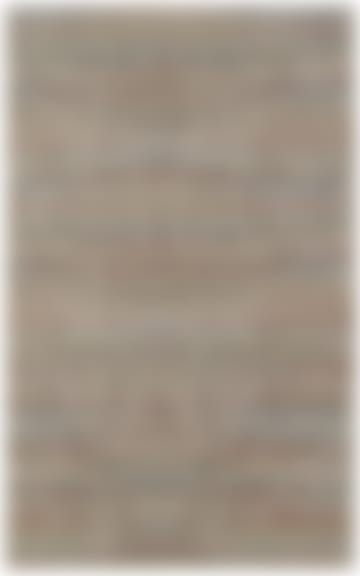 Karastan Elements Fowler Multi | Rug Studio