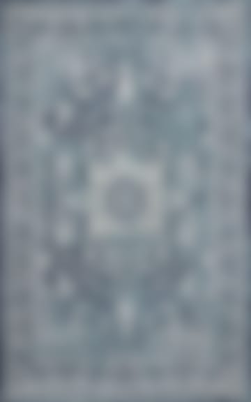 Loloi Joaquin Joa-01 Ocean - Ivory | Rug Studio