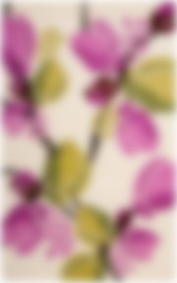 Safavieh Soho SOH718A Ivory - Pink | Rug Studio