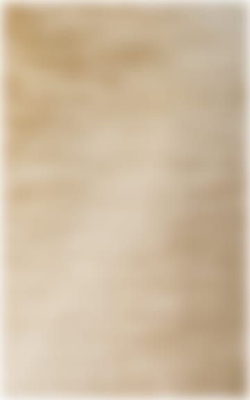 Surya Prismo Pms-2303 | Rug Studio