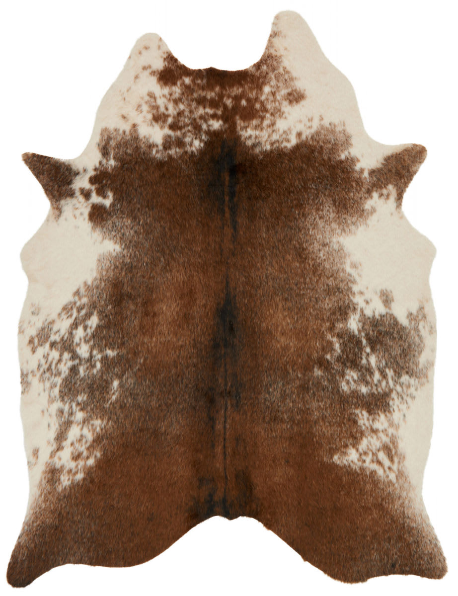 Loloi Grand Canyon Gc-14 Coffee - Ivory | Rug Studio