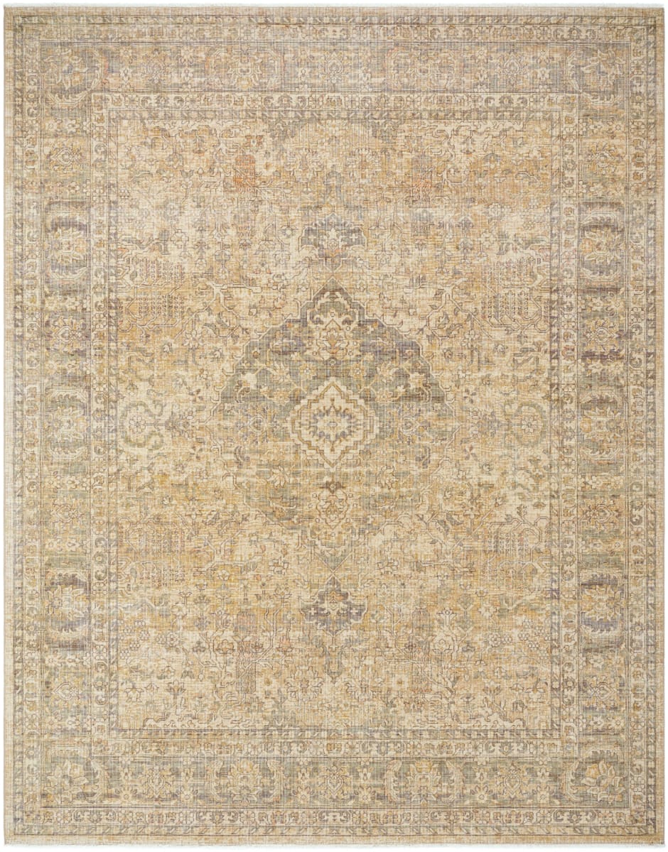Surya Renaissance Bori-2300 | Rug Studio