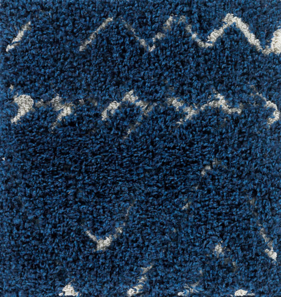 Surya Cut And Loop Shag Clg-2315 | Rug Studio