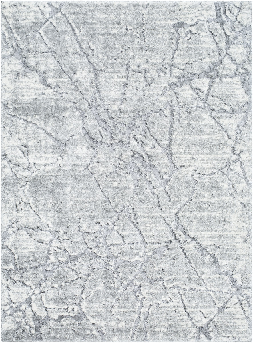 Livabliss Andorra Plus Arp-2313 | Rug Studio
