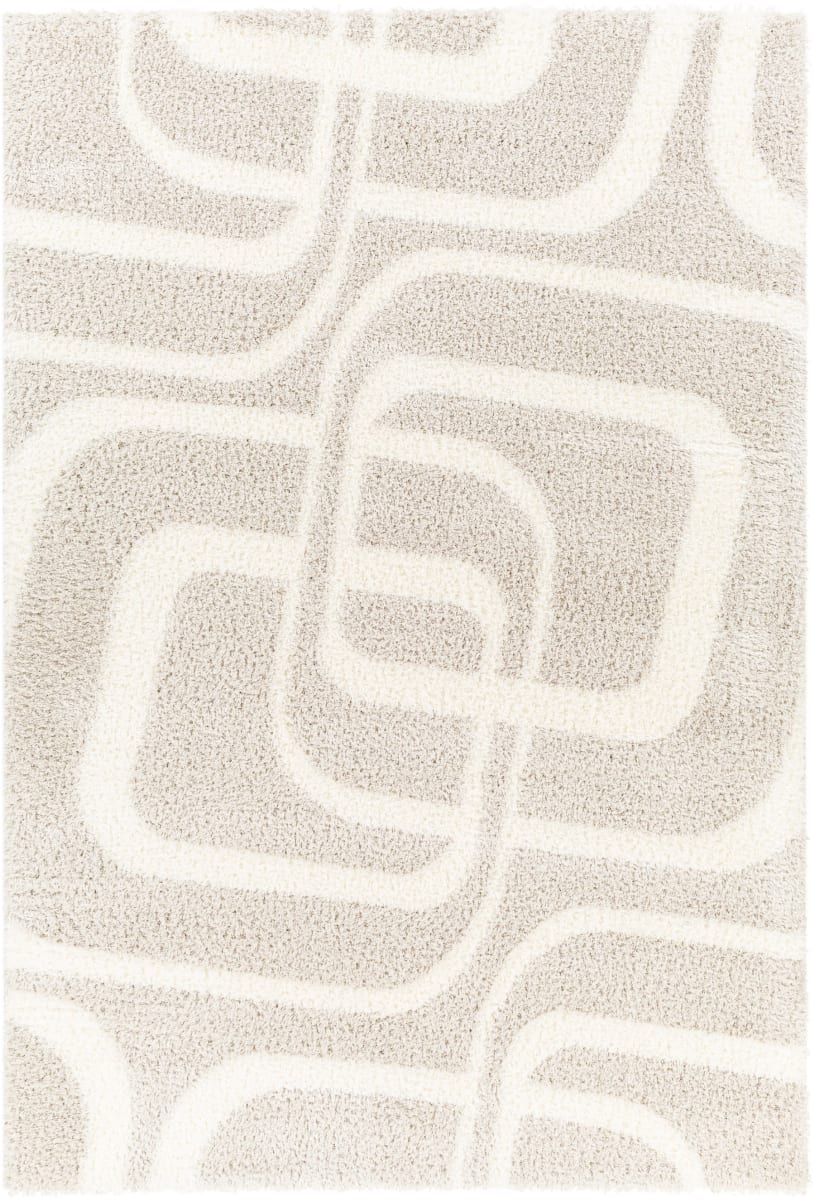 Surya Cloudy Shag Cdg-2309 | Rug Studio