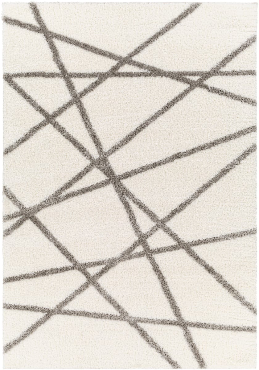 Surya Cloudy Shag Cdg-2316 | Rug Studio