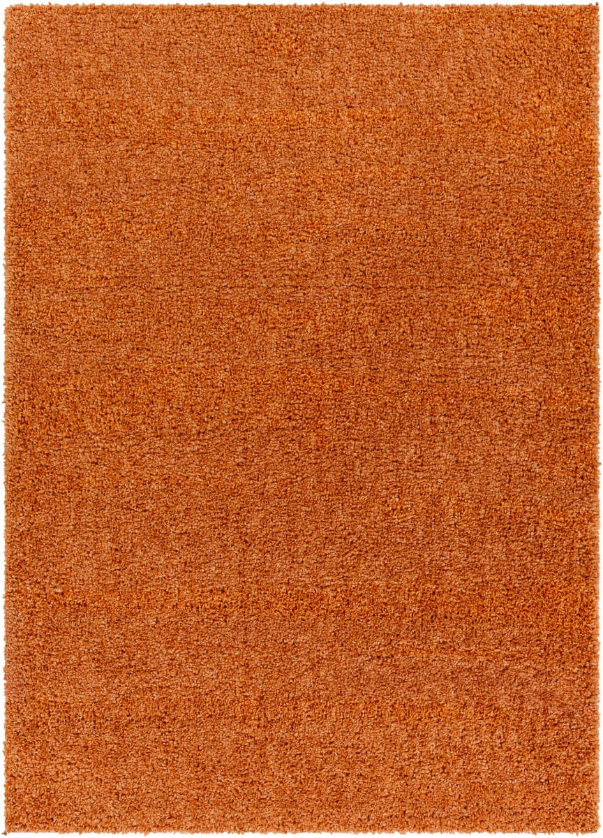 Surya Deluxe Shag Dxs-2322 Rust | Rug Studio