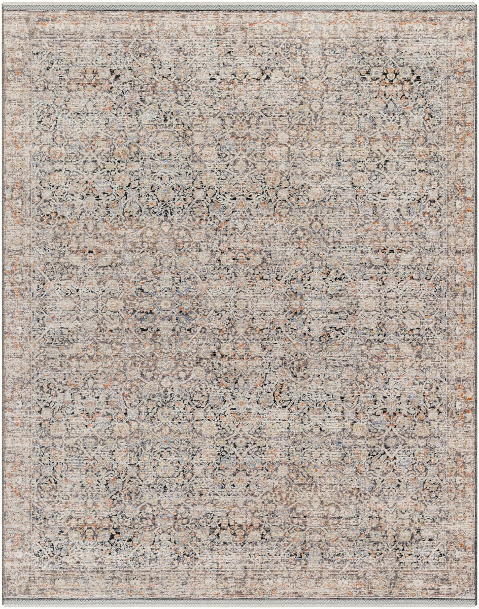Livabliss Rivaldo Rvd-2302 | Rug Studio
