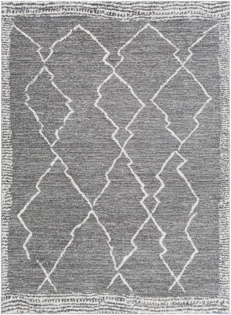 Livabliss Andorra ARD-2309 | Rug Studio