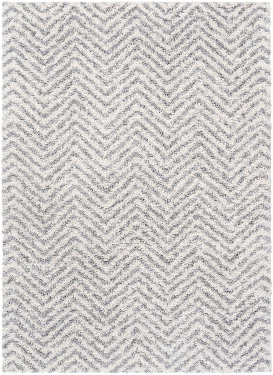 Surya Deluxe Shag DXS-2307 | Rug Studio