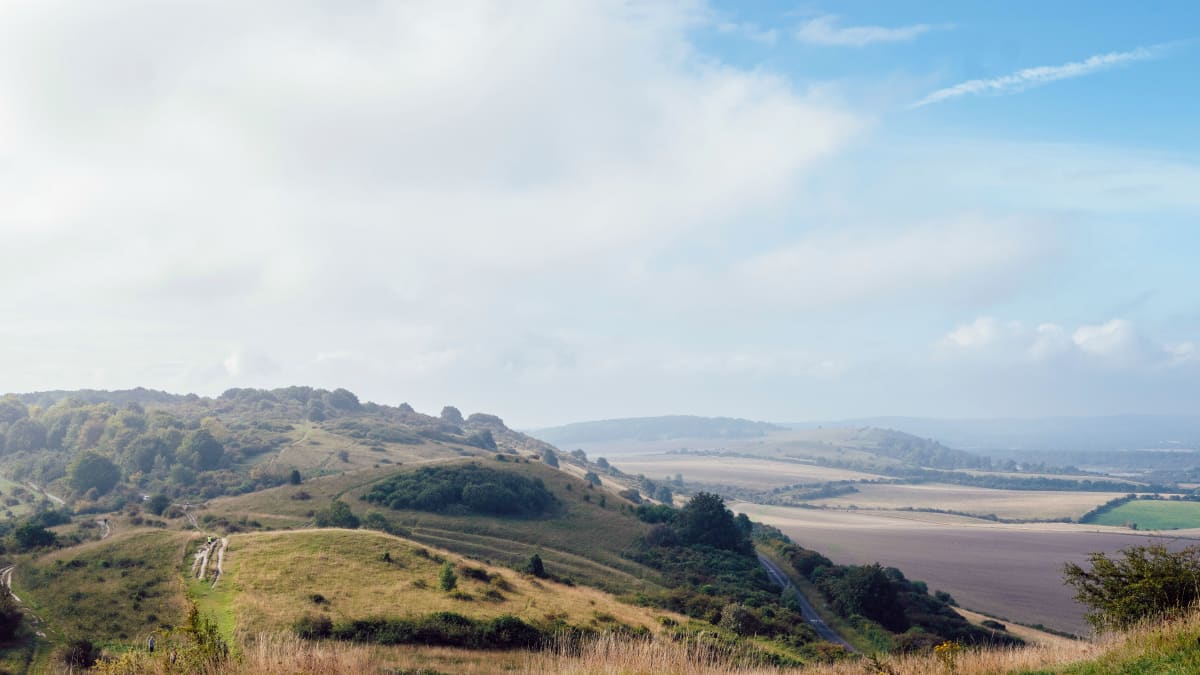 The Ridgeway Challenge | Trail Running Races | Runaway Racing