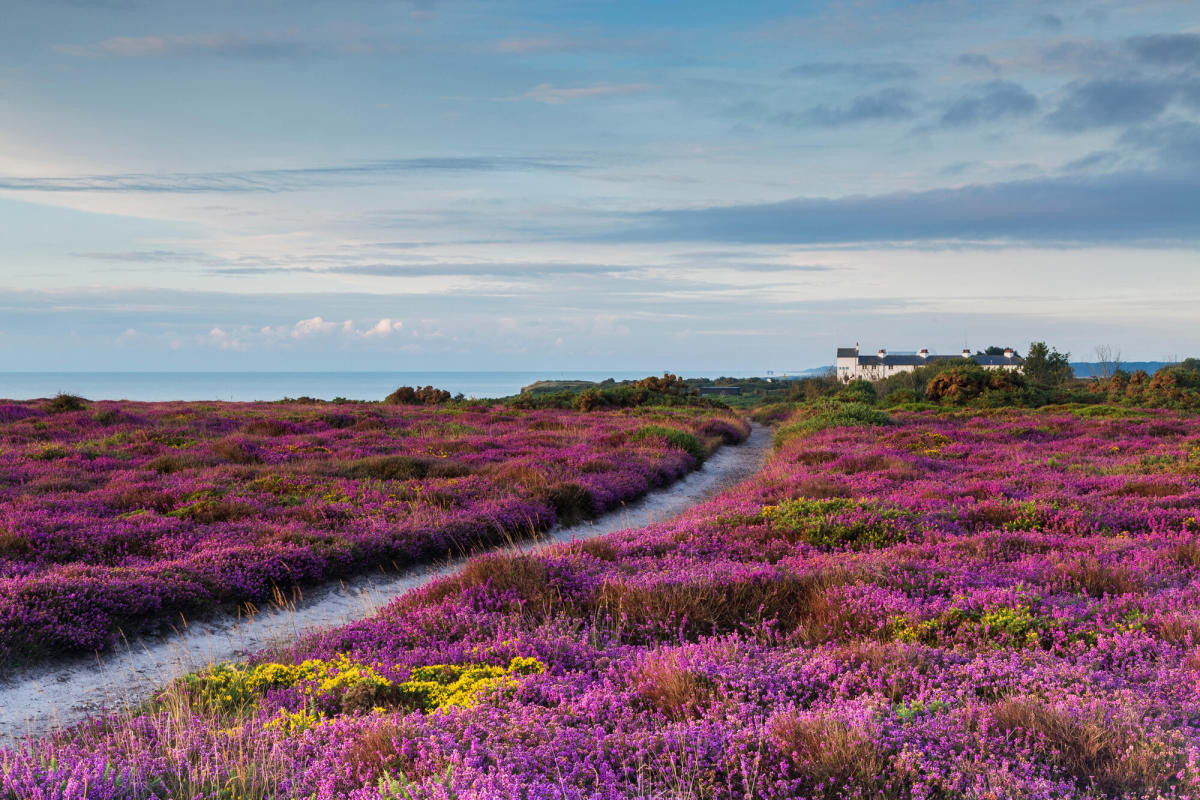 Five reasons to run the Suffolk Coastal Path 50K | News | Runaway Racing