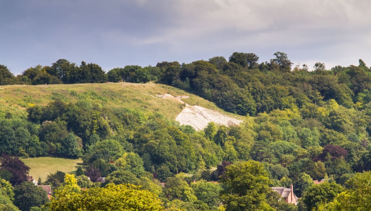 Enter - Whiteleaf & Brush Hill Trail Run | Runaway Racing
