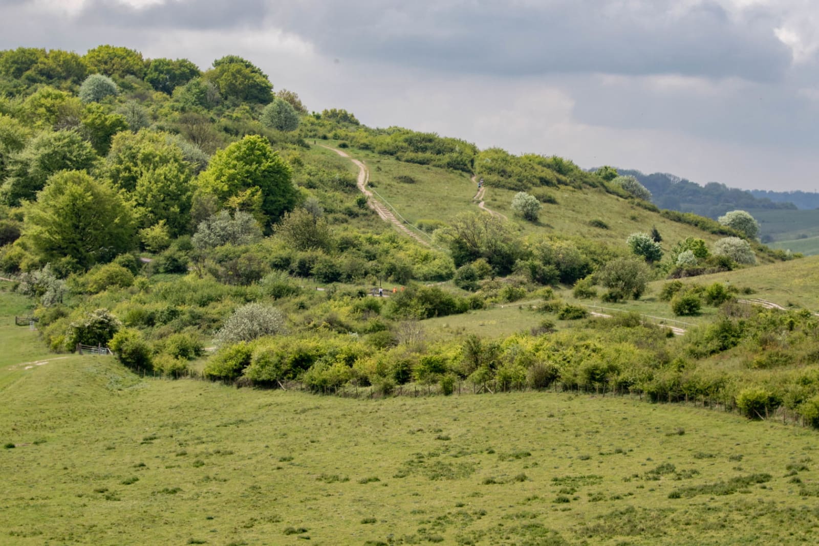 Chiltern Ridge Winter 50K | Trail Running Races | Runaway Racing