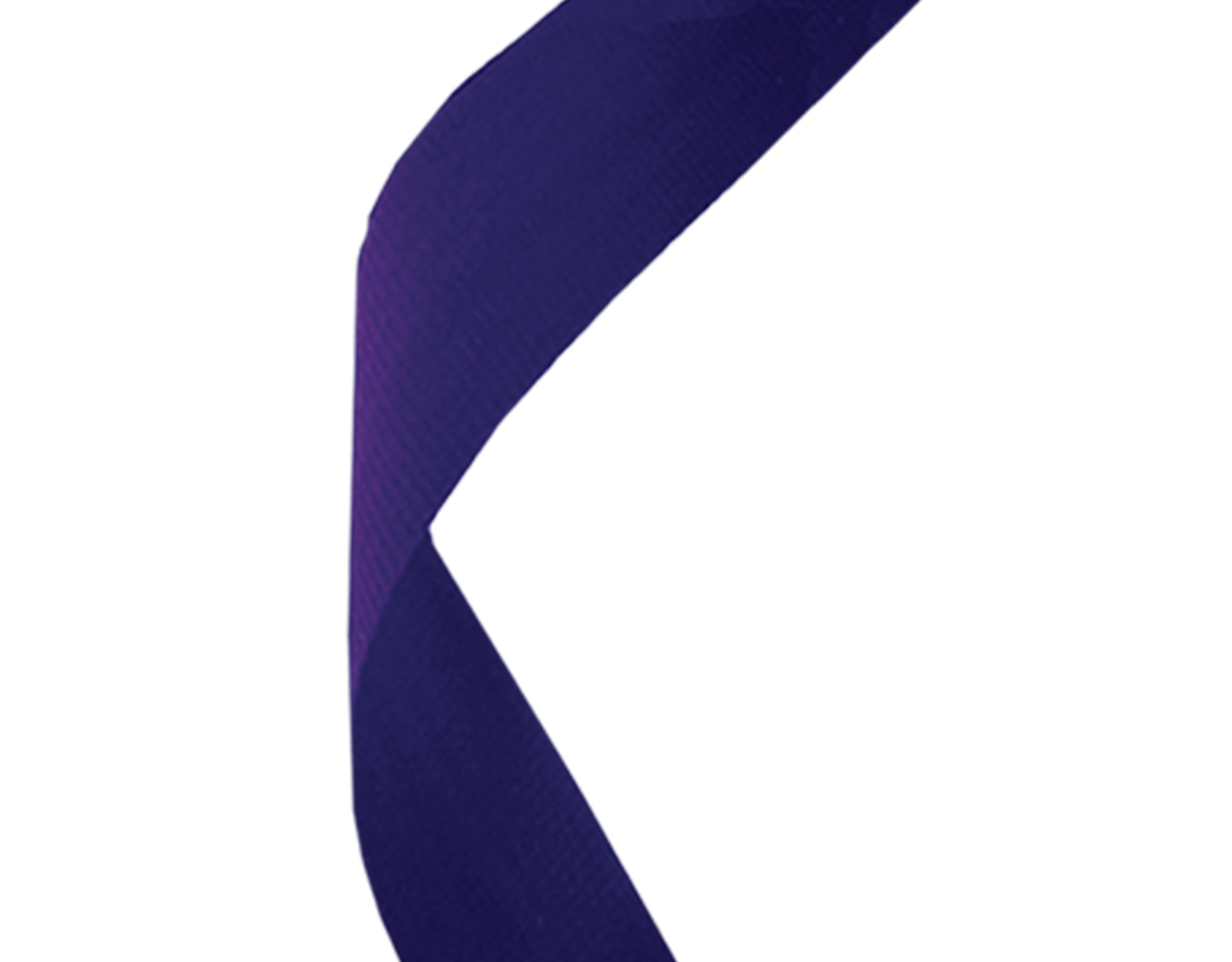 Purple 22MM Deluxe Woven Ribbon | Running Imp - Running Imp