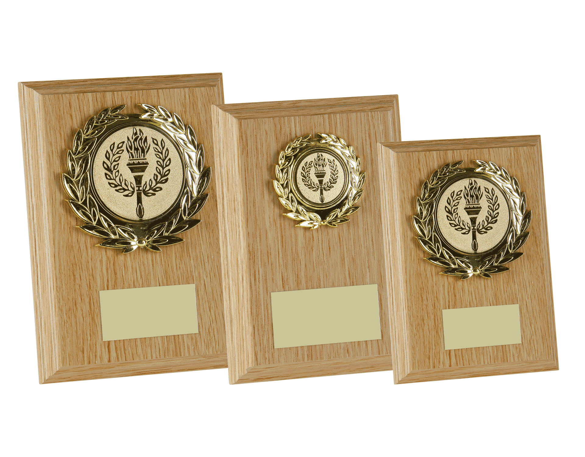 T164J/K/L Presentation Plaque | Running Imp - Running Imp