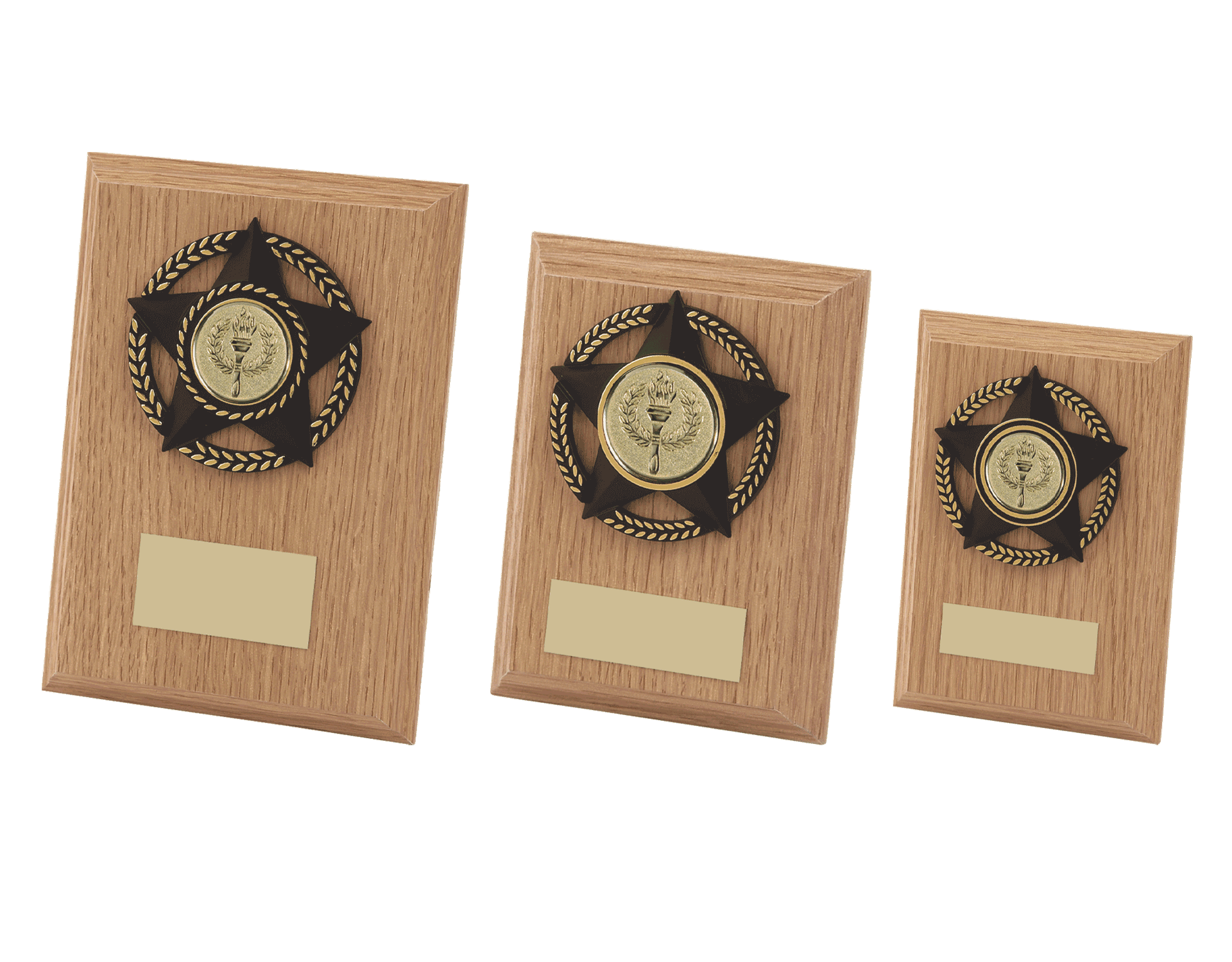 T165E/F/G Presentation Plaque | Running Imp - Running Imp