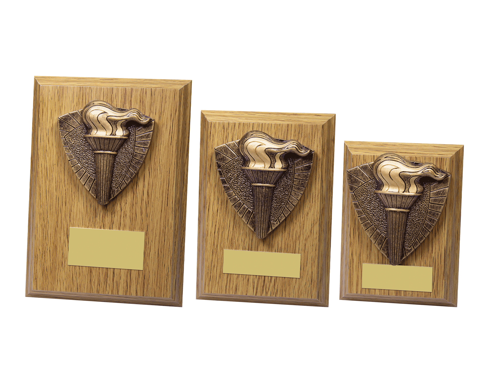 T167H Presentation Shield | Running Imp - Running Imp