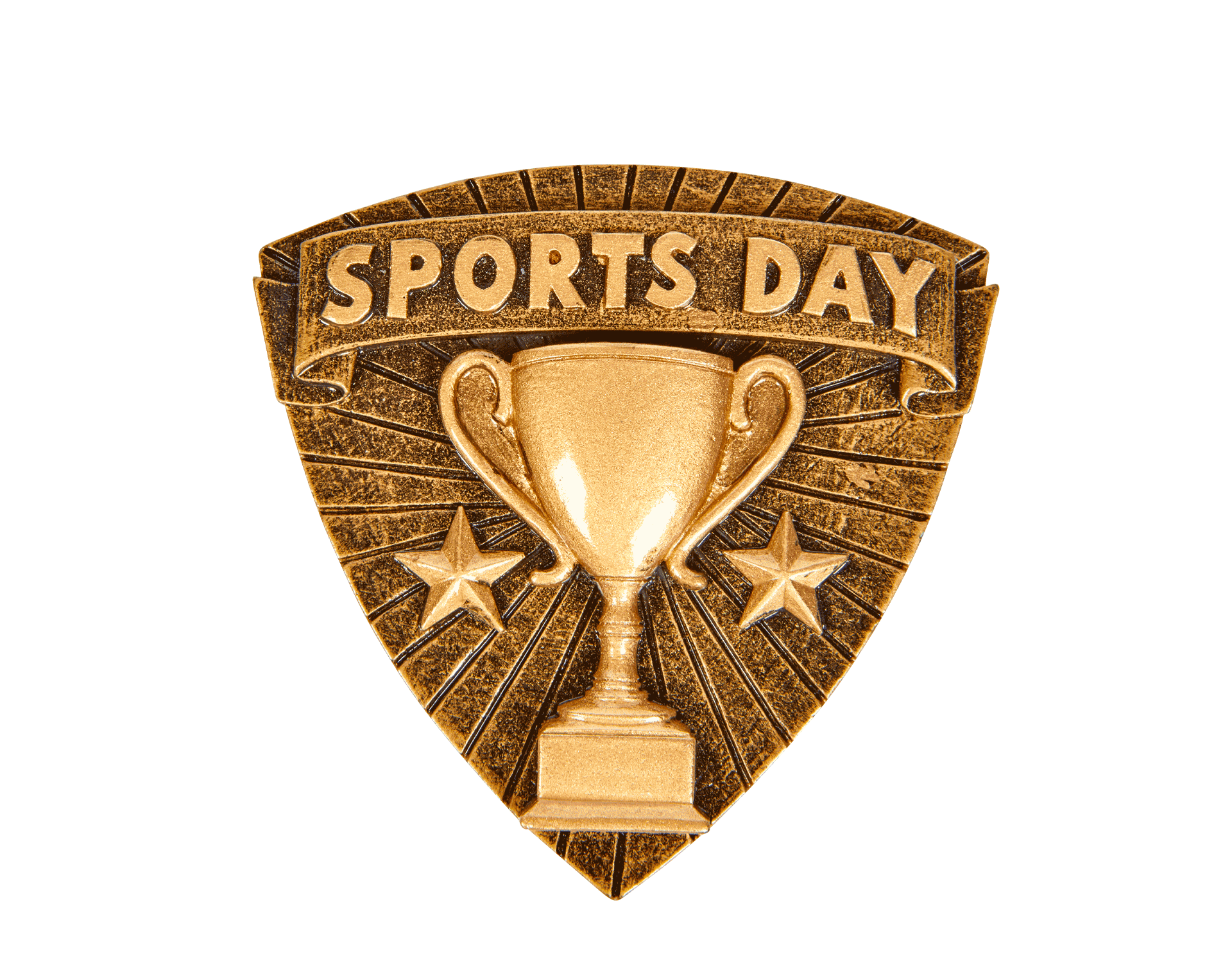 T175S Sports Day Centre | Running Imp - Running Imp